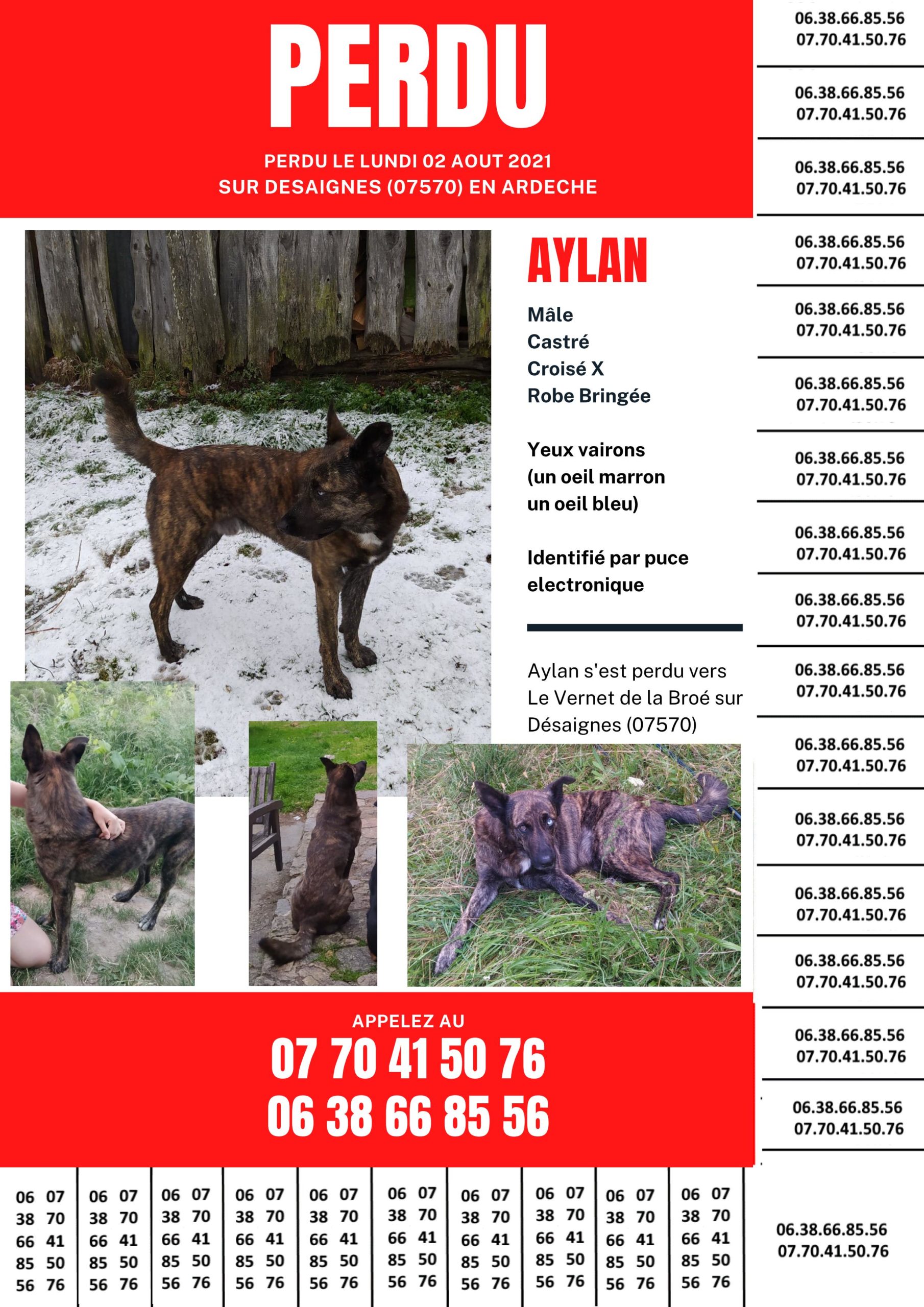 Annonce chien perdu - Mairie d'Empurany